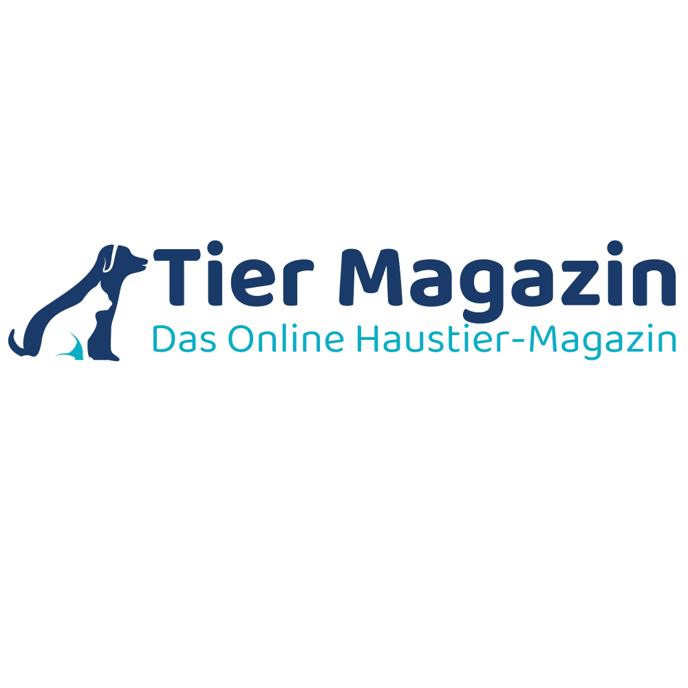 ️Thema Hunderassen auf Tier-Magazin.de - Das Haustier Magazin im Internet